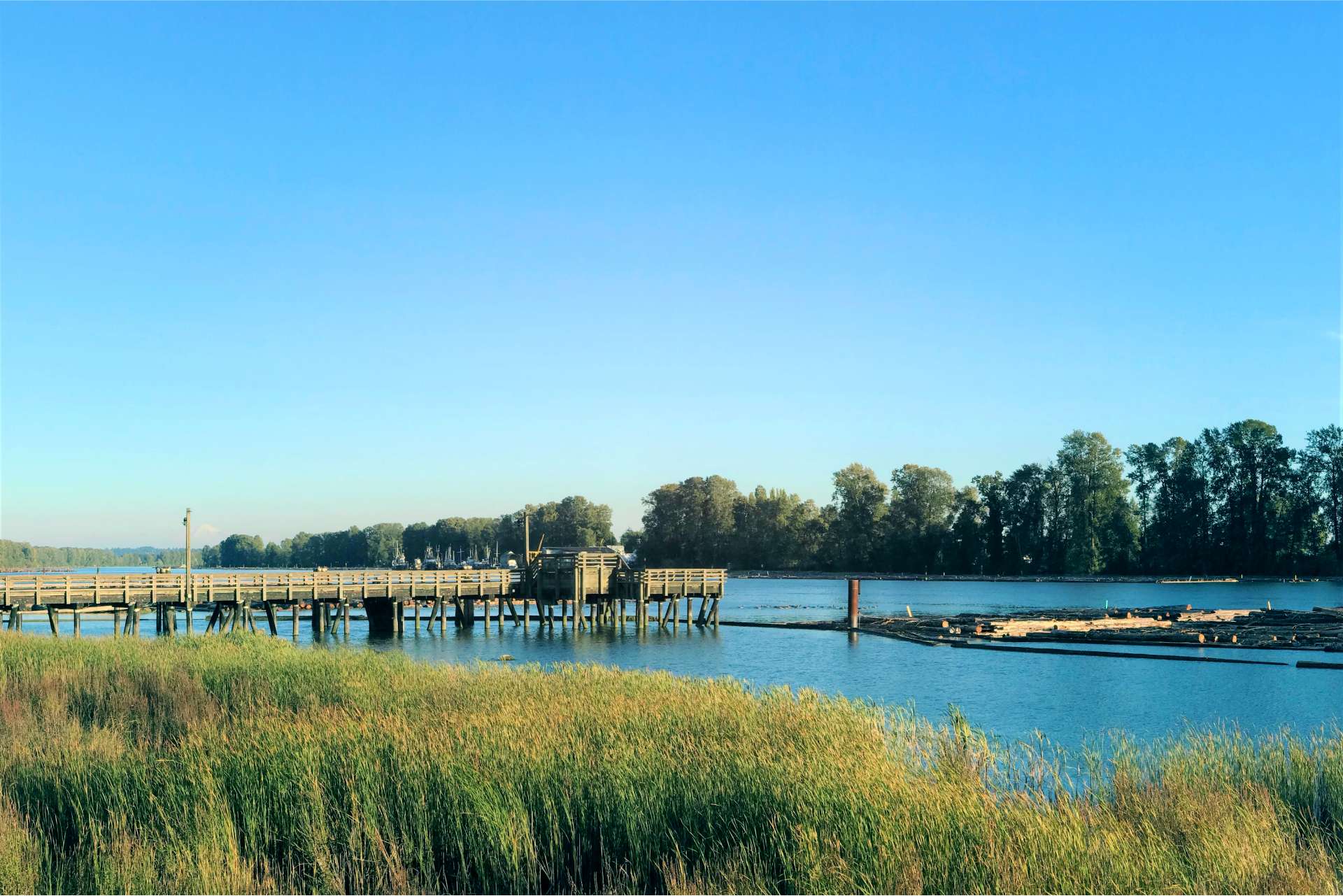 PCN 6 South | Vancouver Primary Care Network